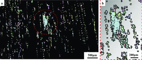 Three Dimensional Morphology Of The Defect The Defect And Low Density