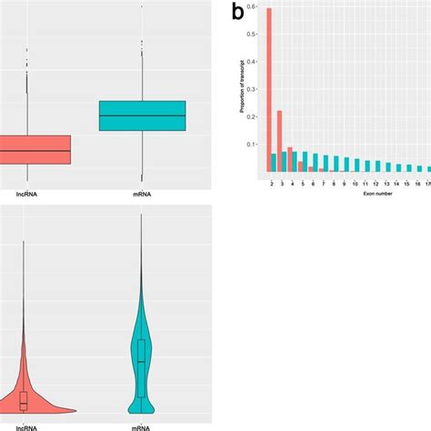 The Distribution Of Transcript Length Exon Number And Expression Level