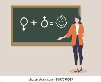 Woman Teacher Chalkboard Teaching Sex Education Stock Vector Royalty Free