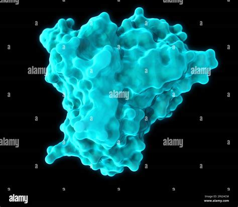 Kras Molecular Model Stock Photo Alamy