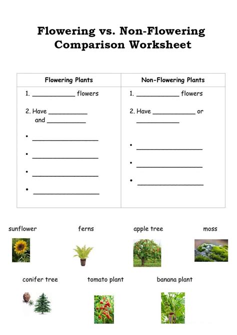 Flowering Vs Non Flowering Comparison Worksheet Download And Print Now