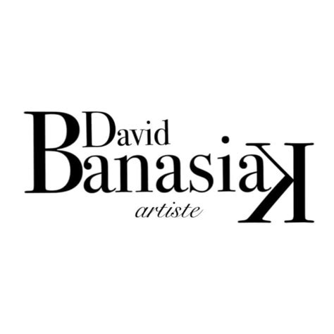 David Banasiak Fiche Artiste Artactif
