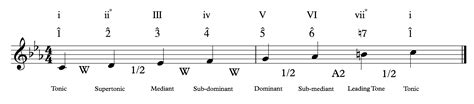 Diatonic Scale Notes Diatonic Scale Zcxr