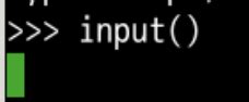 oeasy python061 如何接收输入 input函数 字符串 str 容器 输入输出 阿里云开发者社区