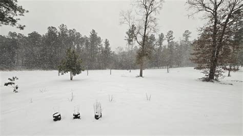 Everglades Snow Florida Snow 2025 Florida Snow Theluckyfew