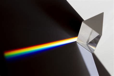 Who Is Really Responsible For Our Divided Society