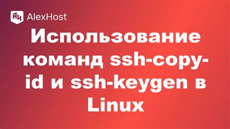 Использование команд Ssh Copy Id и Ssh Keygen в Linux ⋆ Alexhost Srl