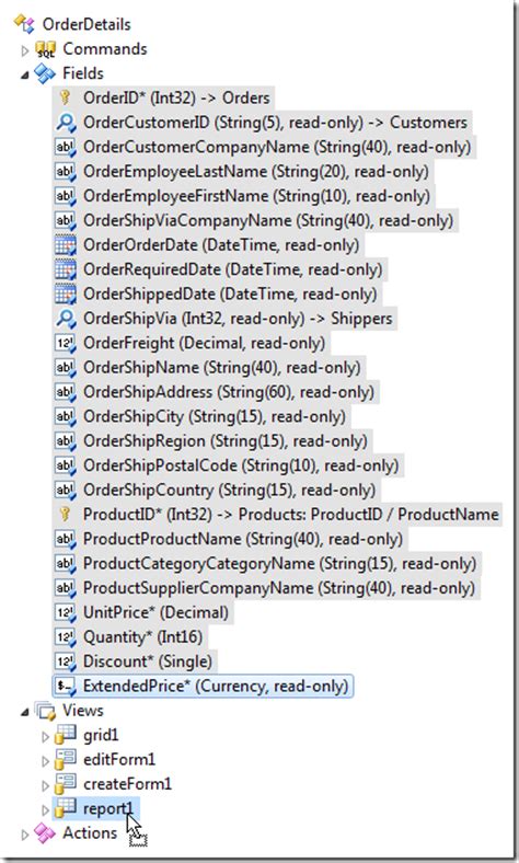 Code On Time Sample Applications Order Form Report Creating A Report Template