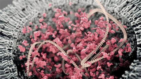 Inside A Cell From The Rna World Stock Video Clip K0109792