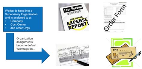 Workday Organization Tutorial The Only Hcm Course You Need