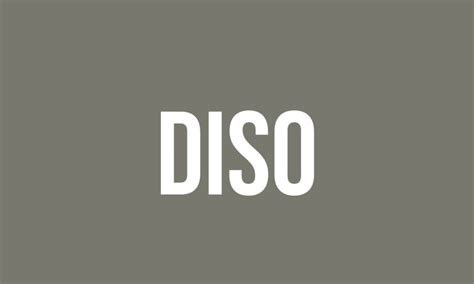 What Does Diso Mean Meaning Uses And More Fluentslang