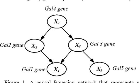 Figure 1 From Discovery Of Gene Regulation Pathways Using Local Causal