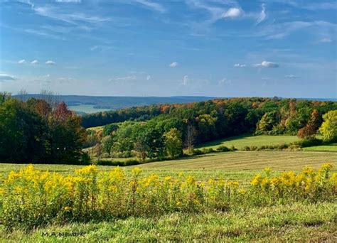 Man On Sex Offender Registry Stabbed To Death In Hotel Alfred Man