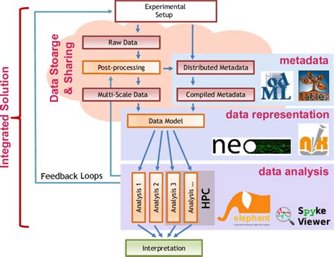 Construction Of A Generic Workflow For Electrophysiological Research By Download Scientific