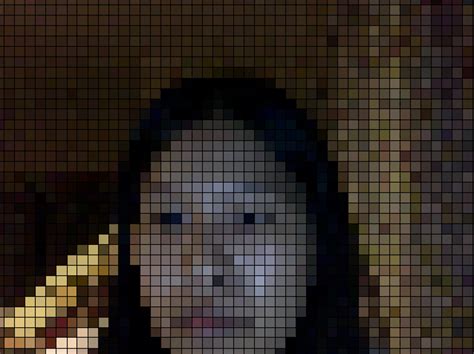 Pixel Distortion Applet Behance