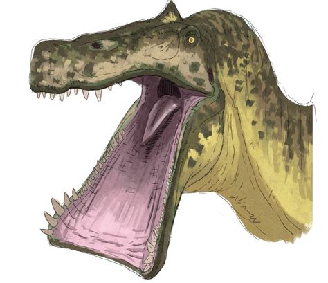 Somniosus Insomnus On Twitter Quick Doodle This Is Basically What Put On My Face When I Saw