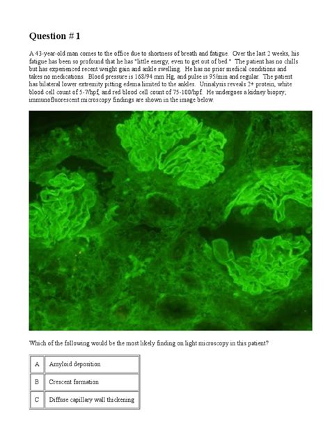 Renal Urinary Systems Electrolytes Pdf Diseases And Disorders Medical Specialties