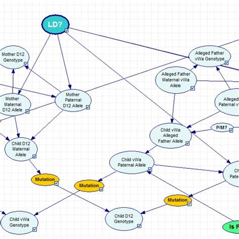 Bayesian Network Describing The Basic Layout For A Paternity Case