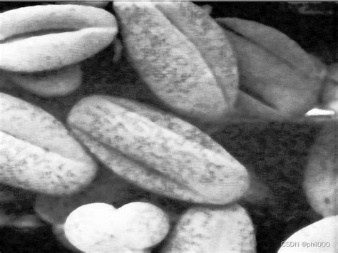 Fpga图像处理仿真实验——直方图均衡化fpga直方图 均衡 Csdn博客