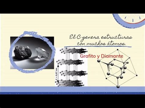 Sustancias Simples Funciones Vitales Procesos De Vida By Enl And
