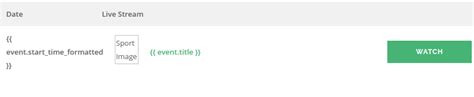Javascript Prevent Vuejs To Display Brackets On Slow Clients Stack