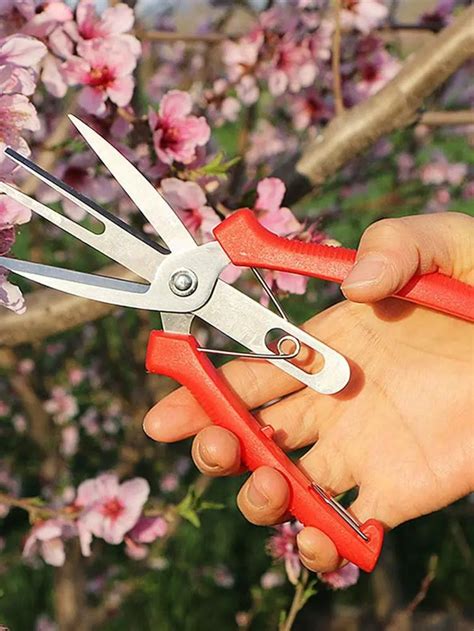 Купити Ножиці садові 8213 Ціна 199 грн Wemart