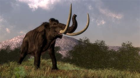 The Woolly Mammoths Role In Shaping The Ice Age Ecosystem