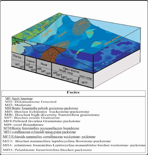 Conceptual Depositional Model Of The Asmari Formation In Shekh Makan
