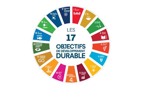 Les Odd Objectifs De Développement Durable Dans Les Achats