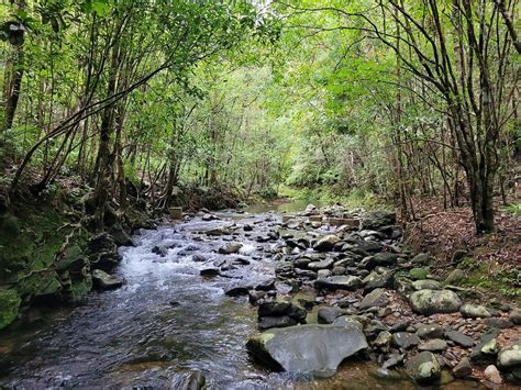 Your Complete Guide To Bach Ma National Park In Vietnam