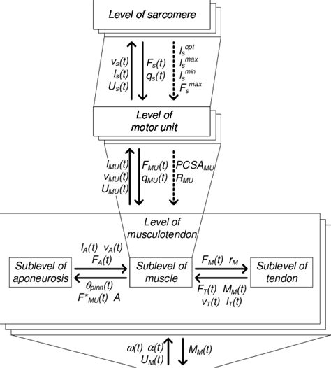 1 Structure Of The Hierarchical Framework And Its Interface Variables Download Scientific