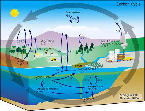 Carbon Wikipedia