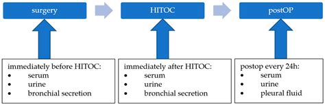 The Excretion Of Cisplatin After Hyperthermic Intrathoracic Chemotherapy