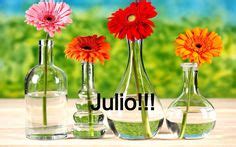 45 Ideas De Julio Bienvenido Julio Julio Feliz Mes