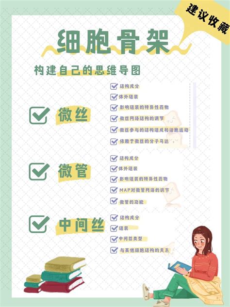 细胞生物学考研 思维导图带背之 细胞骨架——微管、中间丝 知乎