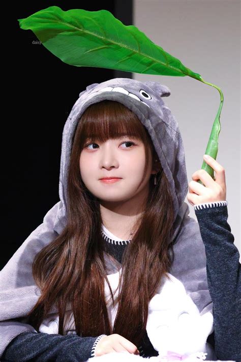 지금까지 토토로 소바인줄 알았는데 연예인잡담 에펨코리아