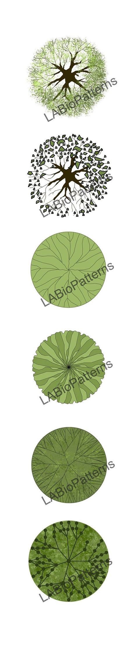 6 Site Plan Trees P001 1040 Scale Jpegpngpdf Etsy Tree Plan
