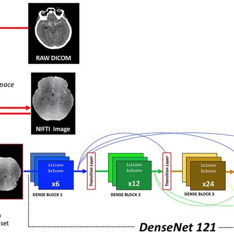 Diagram Depicting The Workflow From Dicom Raw Images To Classification