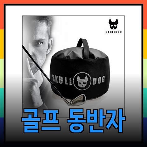 골프 연습의 새로운 동반자