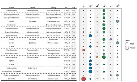 r语言ggplot2优雅的绘制高端气泡图 ggplot气泡图 csdn博客