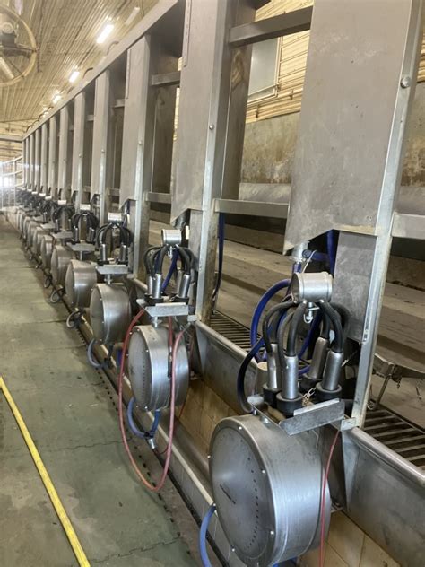 Purpleudder Canada Buy And Sell Used Or Specialty Dairy Equipment