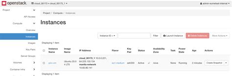 How To Install Shared File System On Based On Manila Openstack — Eumetsat 0 0 1 Documentation
