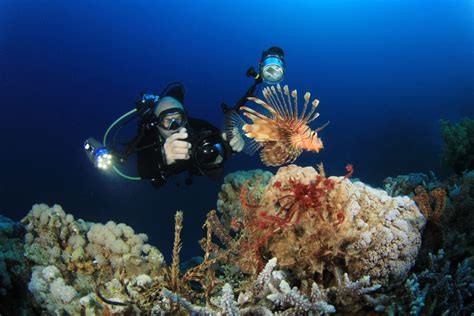 Beginners Guide To Underwater Photography