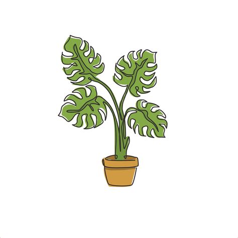 One Single Line Drawing Cute Potted Tropical Leaves Monstera Plant