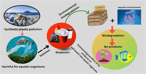 Ecotoxicological Impact Of Bioplastics Biodegradation A Comprehensive