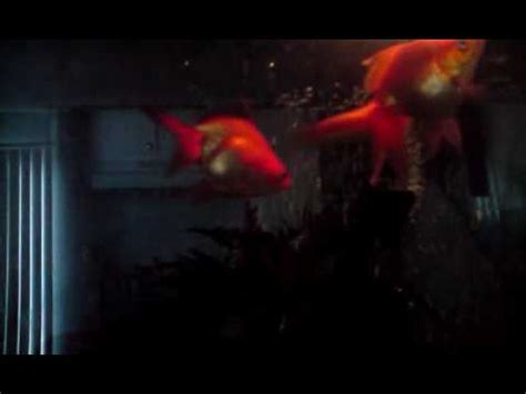 Peces Teniendo Sexo YouTube