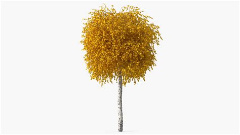 Small Birch Tree Yellow 3d Model 29 Obj Lxo Ma Max Fbx C4d