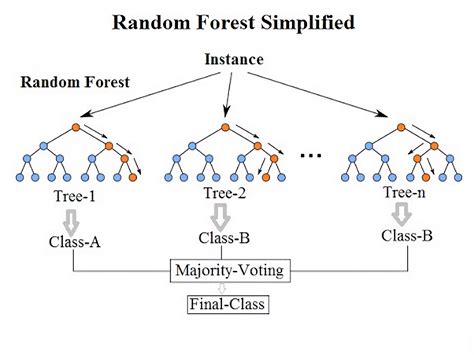 Decision Trees Vs Random Forests For Classification And Regression A