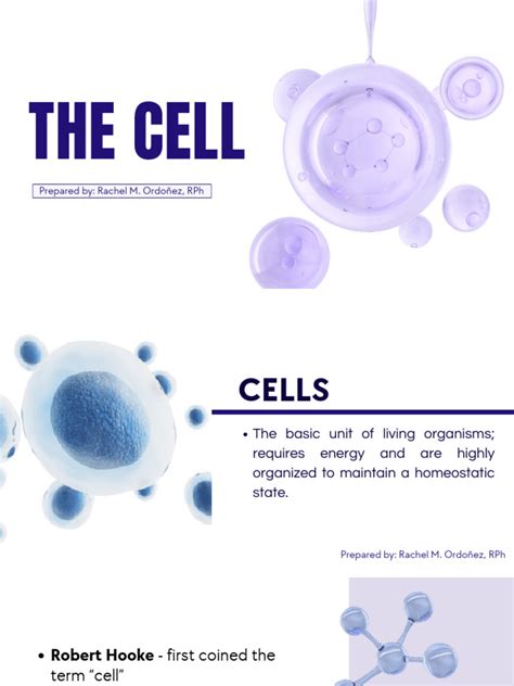 Botany Lec Part 2 Prelim Pdf Cell Biology Photosynthesis
