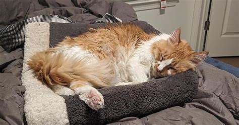 Day 5 And 6 Of Training Tonight And Tomorrow And Final Day Of Training Monday Finally Got An